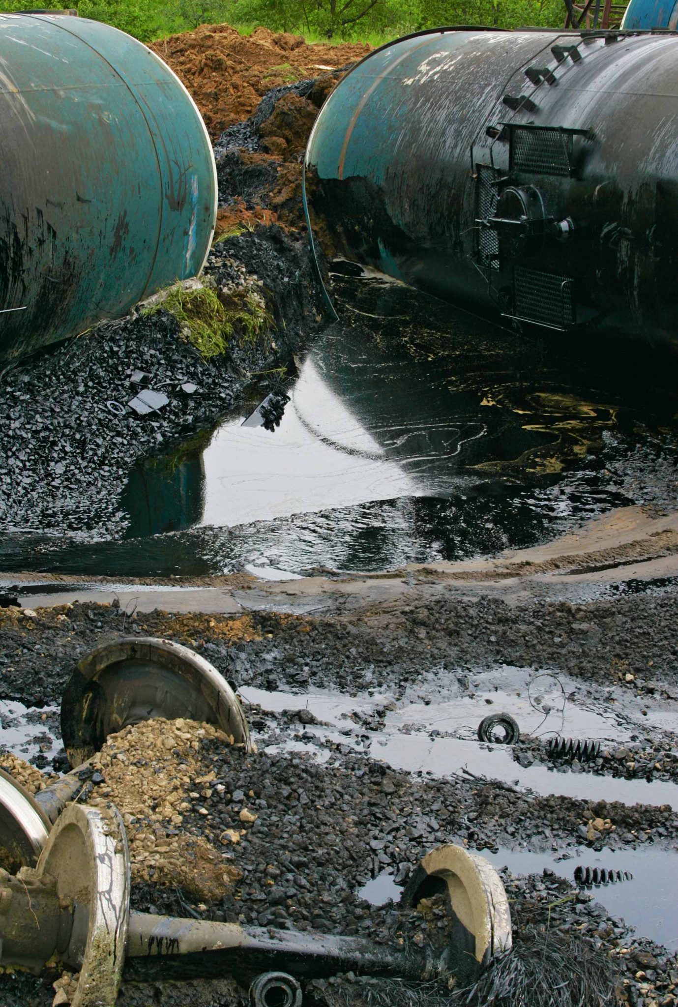 Our Culture - Trileaf Corporation