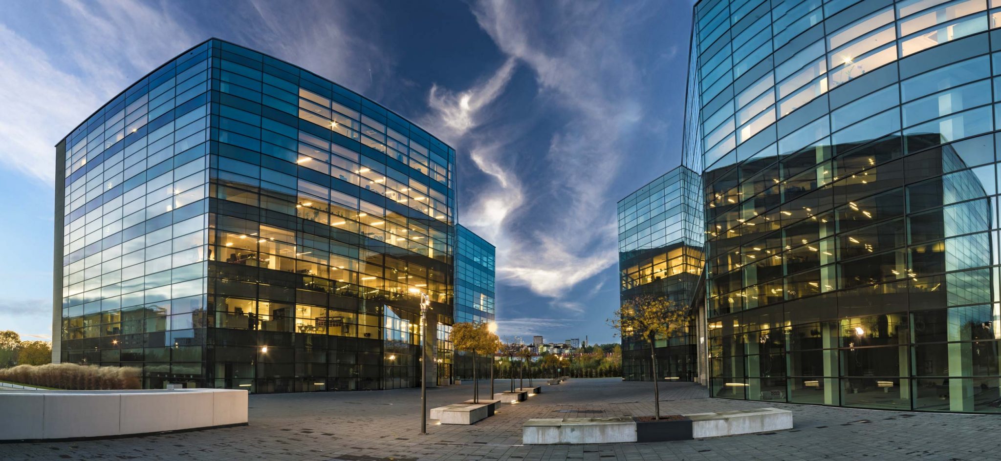 Our Culture - Trileaf Corporation