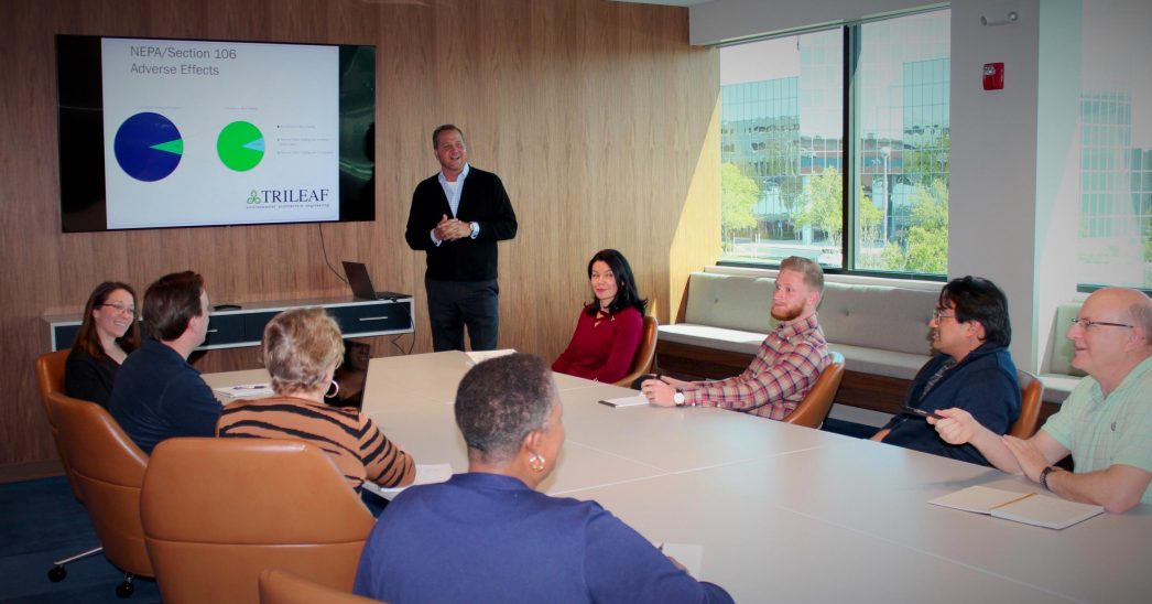 The Company - TriLeaf