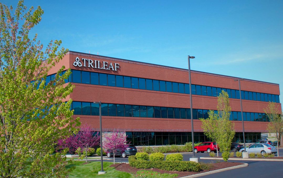 The Company - TriLeaf