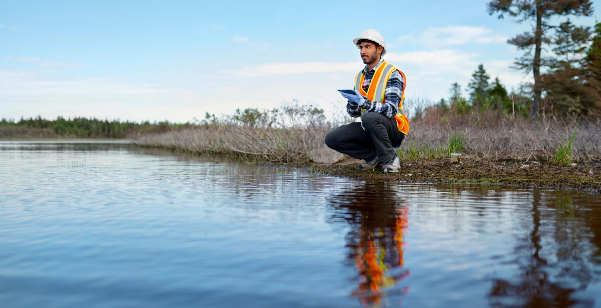 Wetland Delineation and Permitting - TriLeaf